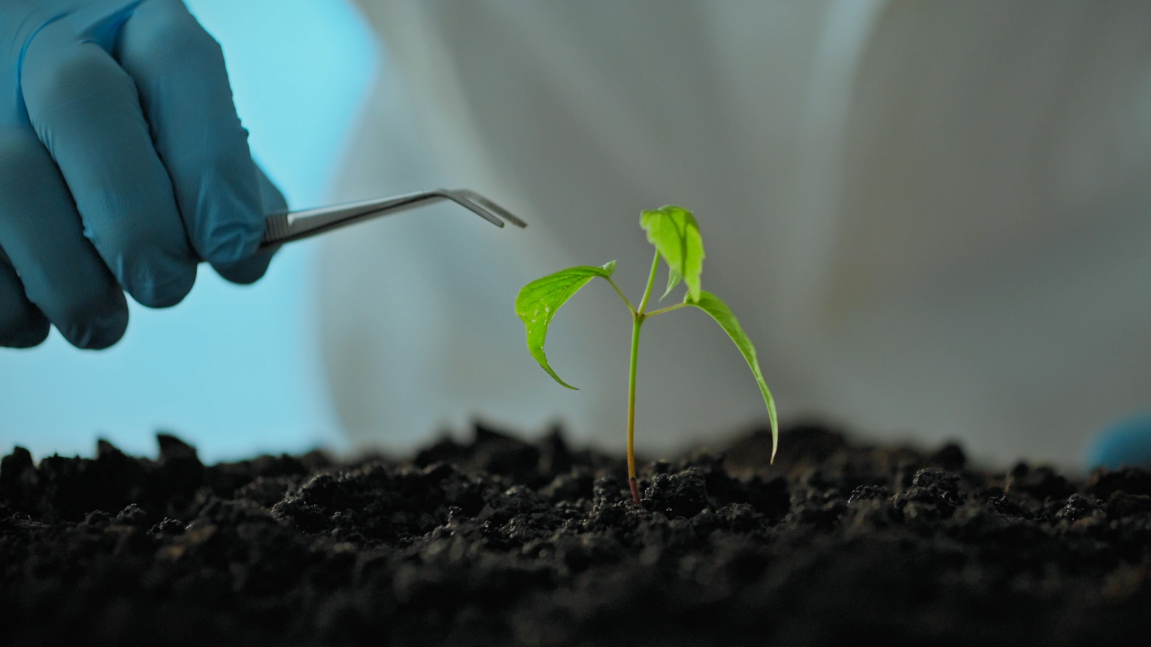 CA Lab - Laboratories