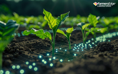 AI, Machine Learning… Virtual Soil Testing? - Laboratories